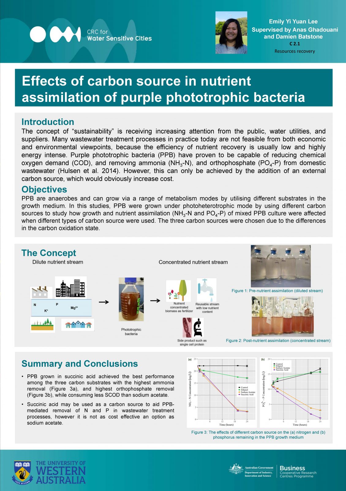 Effects of carbon source in nutrient assimilation of purple ...
