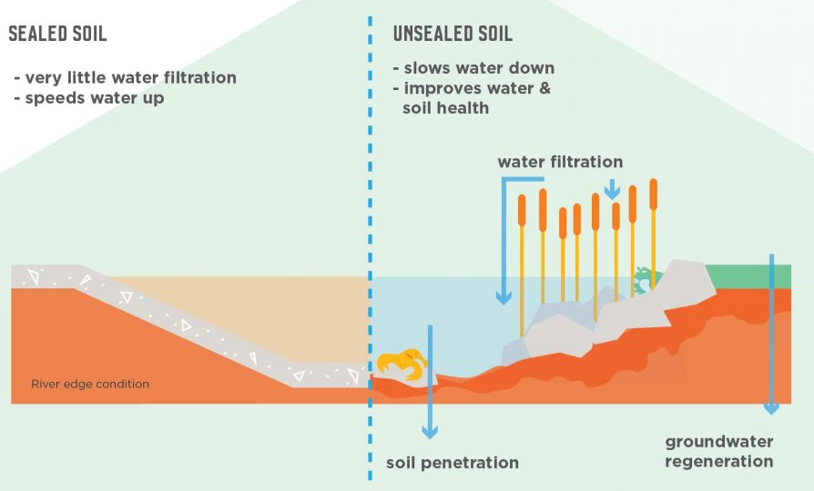 Elizabeth Street catchment integrated water cycle management plan - CRC ...