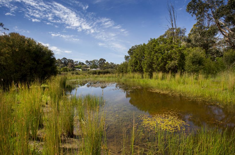 Ecosystem health - CRC for Water sensitive cities