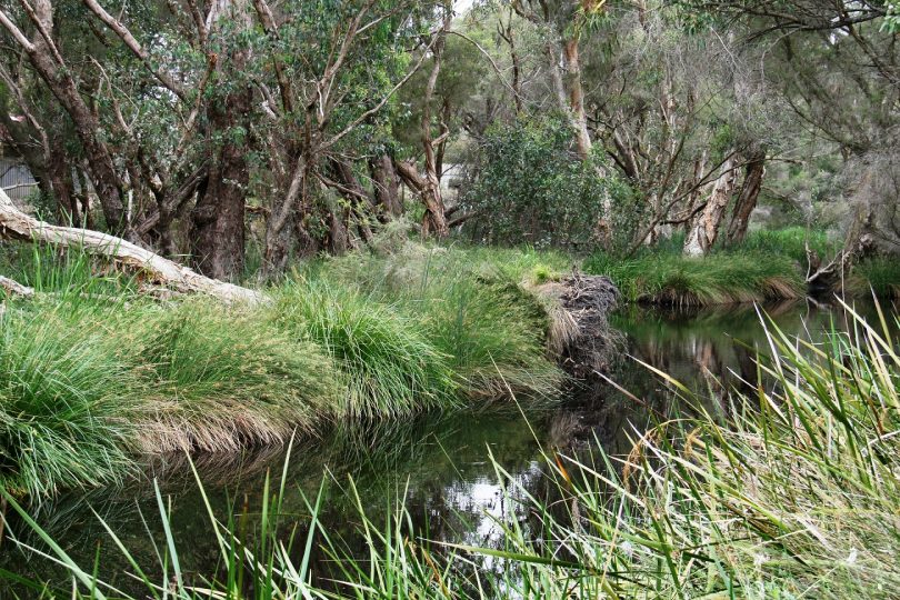 Waterway naturalisation - CRC for Water sensitive cities