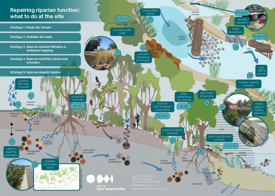 New factsheets offer strategies for restoring urban waterways ...