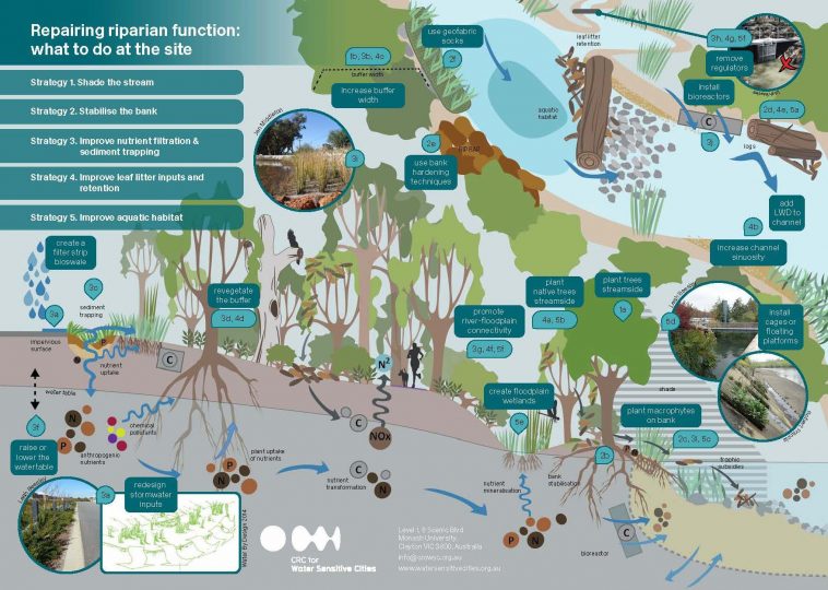 New factsheets offer strategies for restoring urban waterways ...