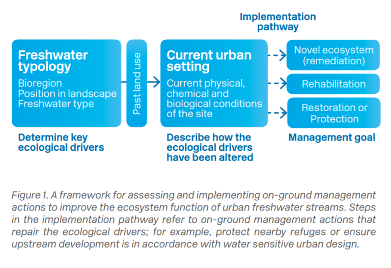 Urban waterways are important for water sensitive cities