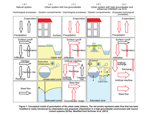 Natural systems are a key part of water sensitive cities